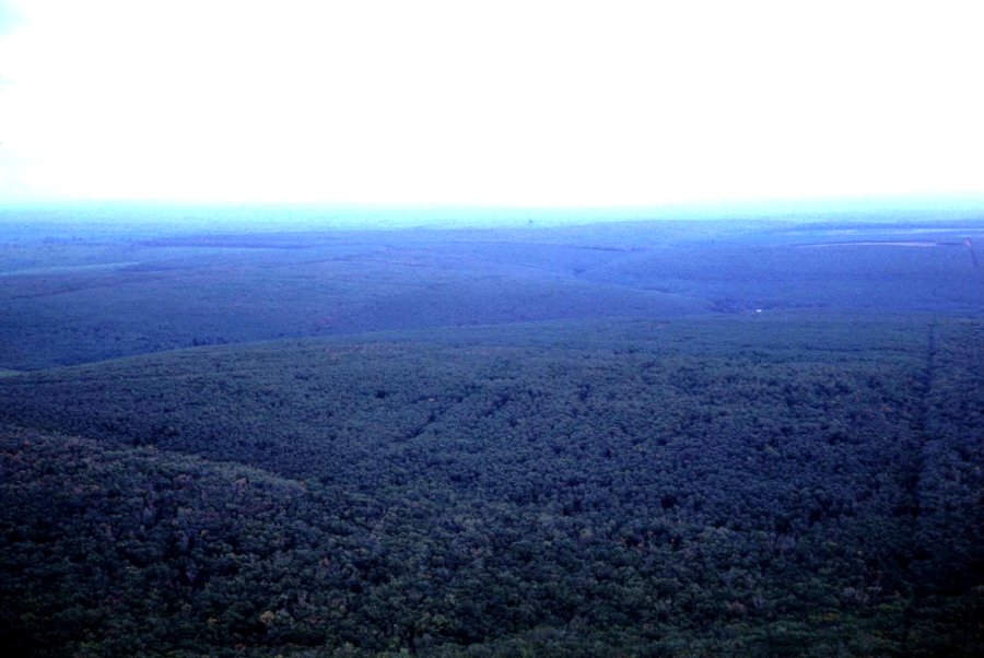 Vietnam Helicopter insignia and artifacts - A Battery, 2nd Battalion ...