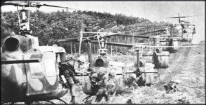 Vietnam Helicopter insignia and artifacts - 335th Assault Helicopter ...